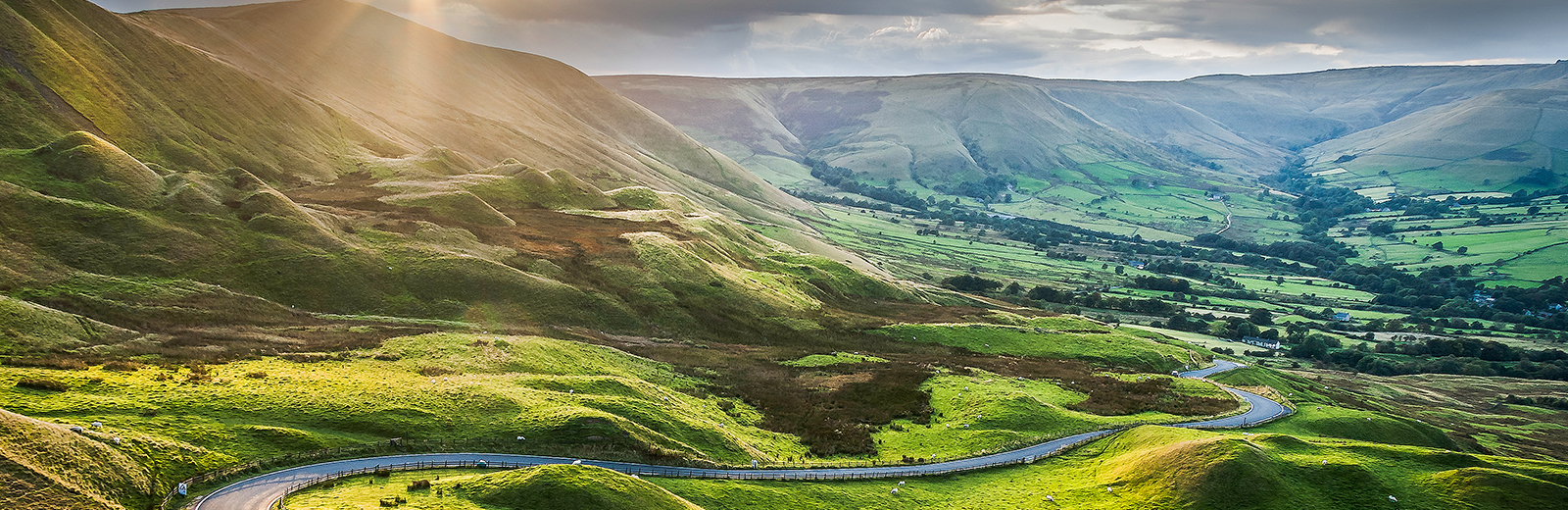 Experts in the field: Charity management academics to advise leading ...